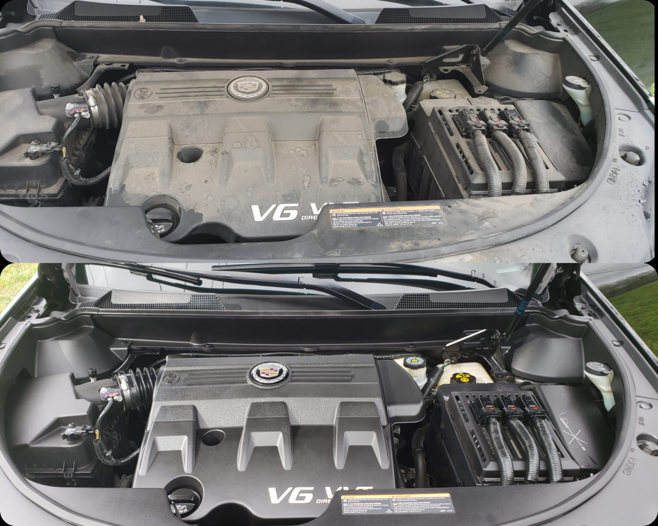 Gallery – Clean Dreams Car Care